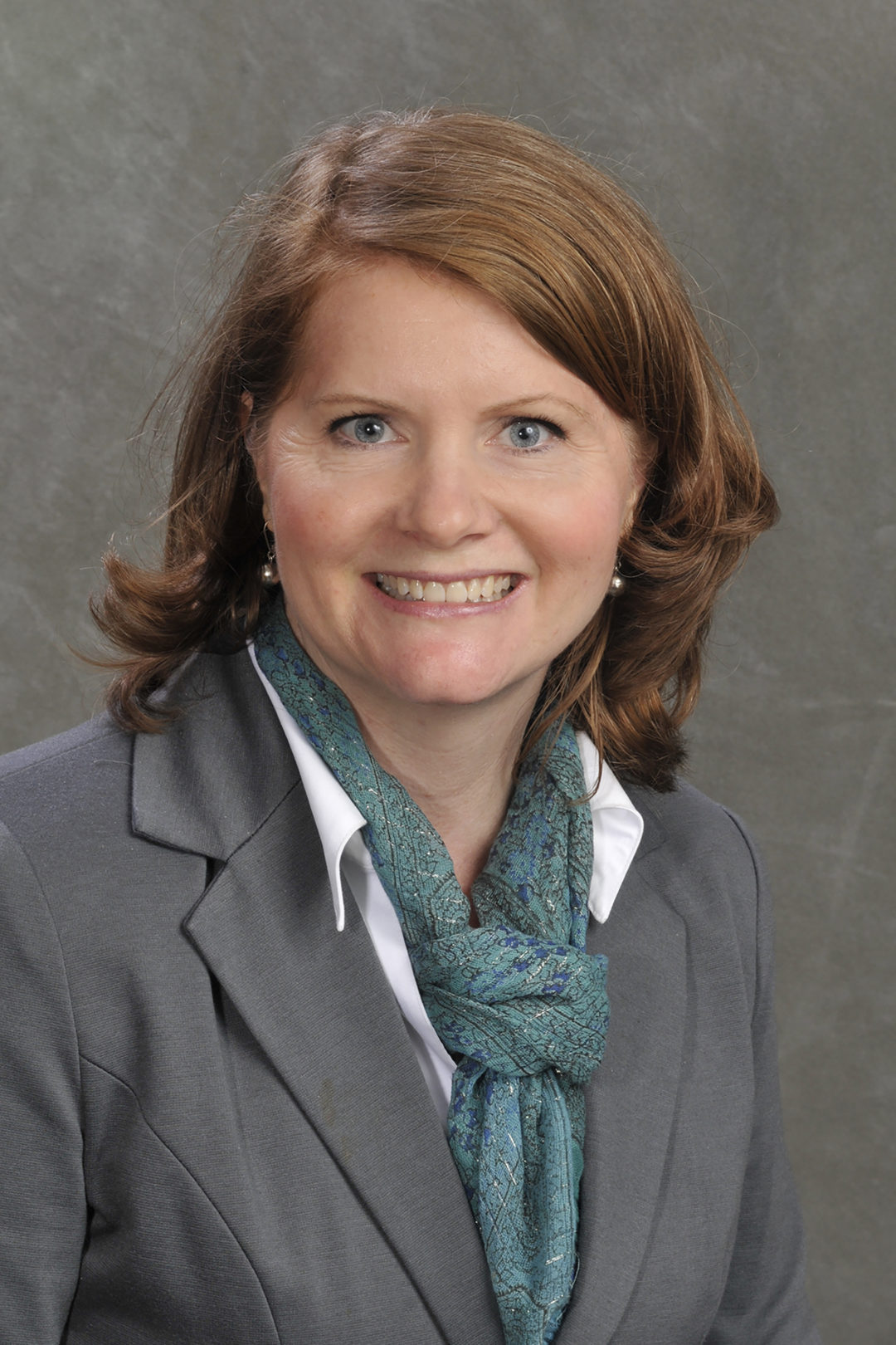 Venture Asheville Elevate - Mentor & Entrepreneurship Program